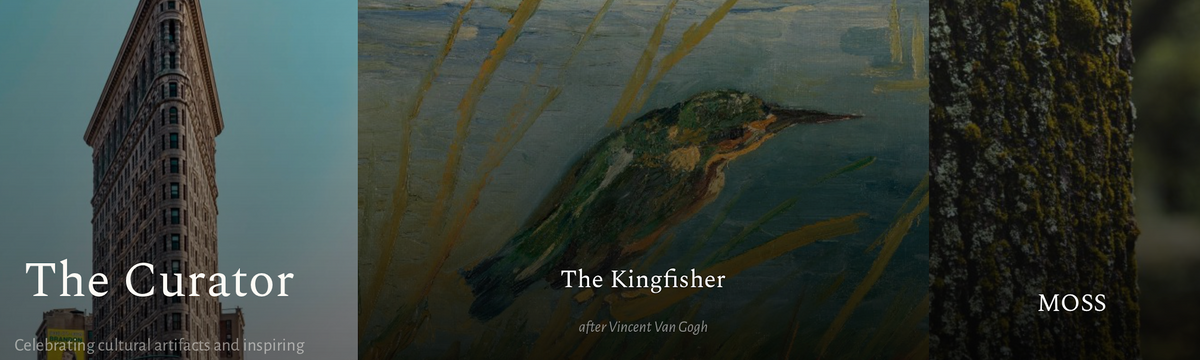 The Curator Magazine – OPEN CANVAS